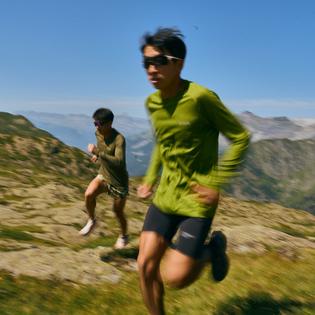 Collections - Outopia